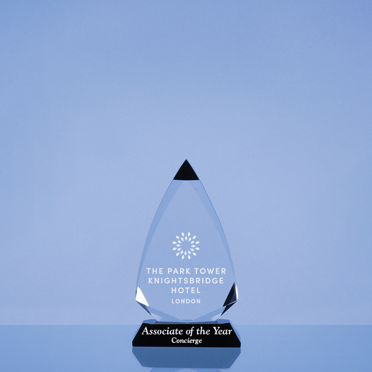 Crystal Awards for any Sport/Occasion | Burridge London 2/7