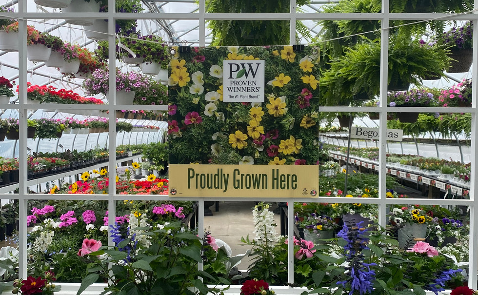 Photo Gallery | Sunnyside Greenhouse | Quaker City