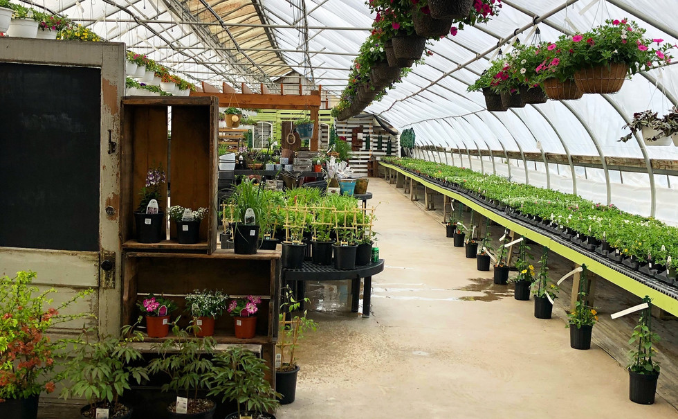 Photo Gallery | Sunnyside Greenhouse | Quaker City
