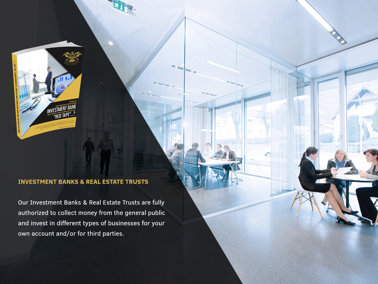 Investment Banks For Sale | U.S. BANCORP & CAPITAL TRUST