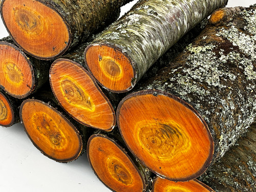 Wild Cherry Log Blanks | English Woods