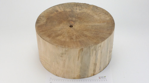 Monkey Puzzle Bowl Blank | English Woods