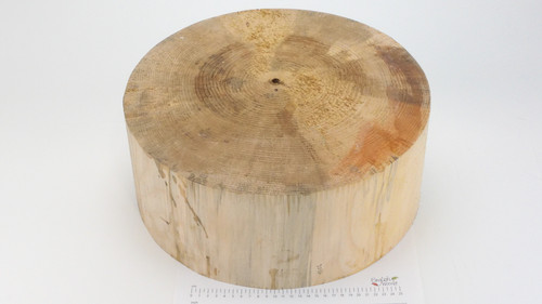 Monkey Puzzle Bowl Blank | English Woods