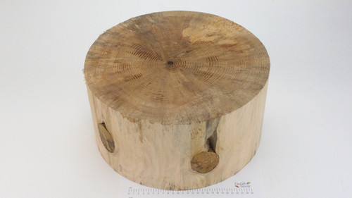 Monkey Puzzle Bowl Blank | English Woods