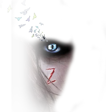 The ZoZo Phenomenon Book