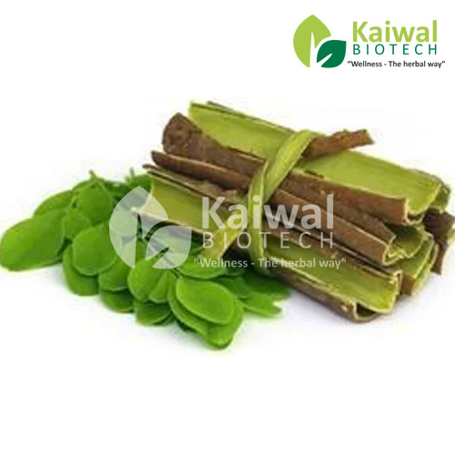 Sargavo Chhal | Kaiwalbiotech