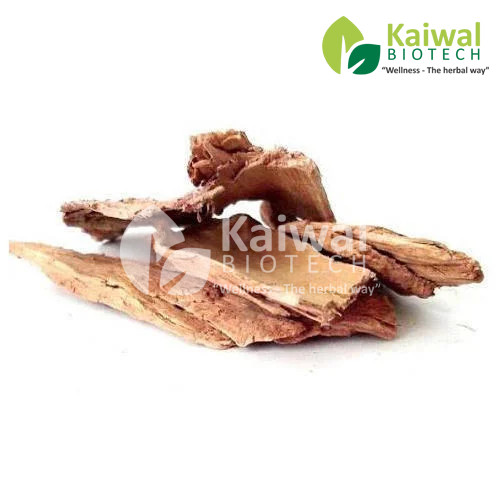 Arjun Chhal | Kaiwalbiotech