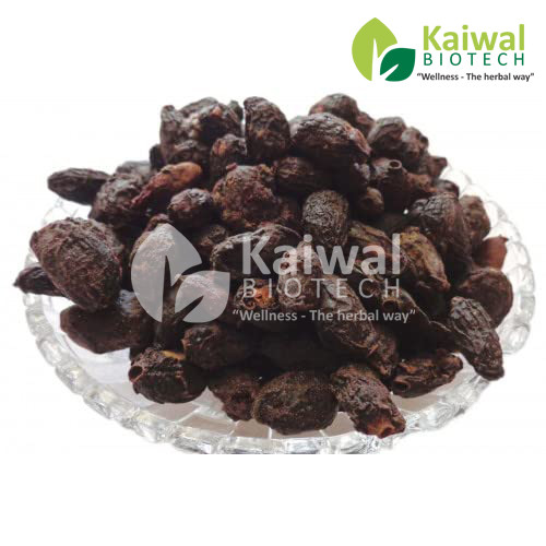 Jambu Beej | Kaiwalbiotech