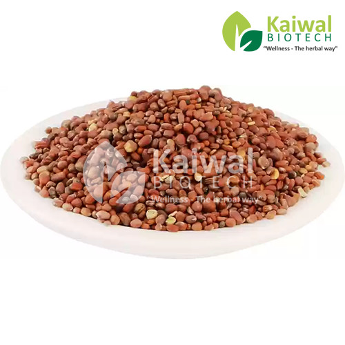 Mula Beej | Kaiwalbiotech