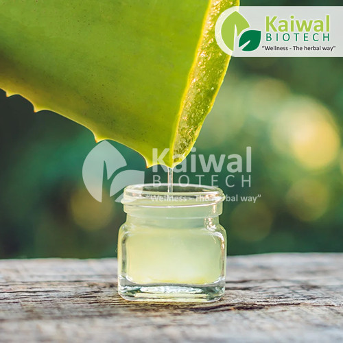 Aloe Vera Extract | Kaiwalbiotech