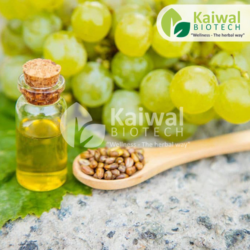 Grapes Seed Extract | Kaiwalbiotech