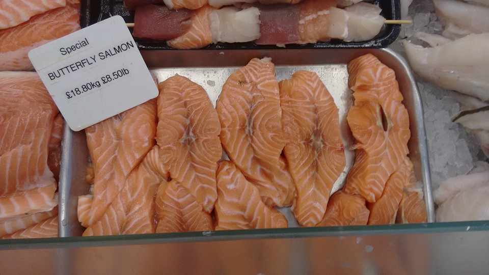 Home | samstollerandson