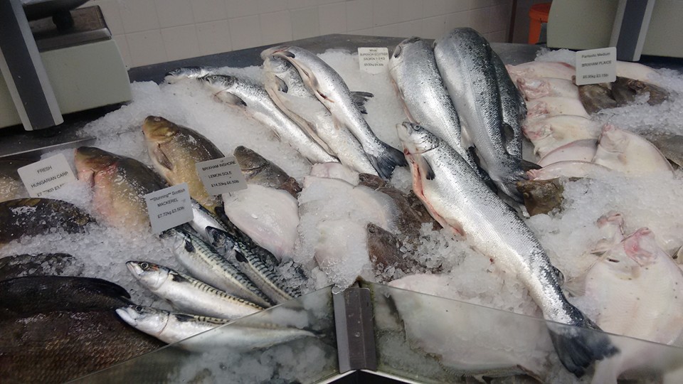 Home | samstollerandson