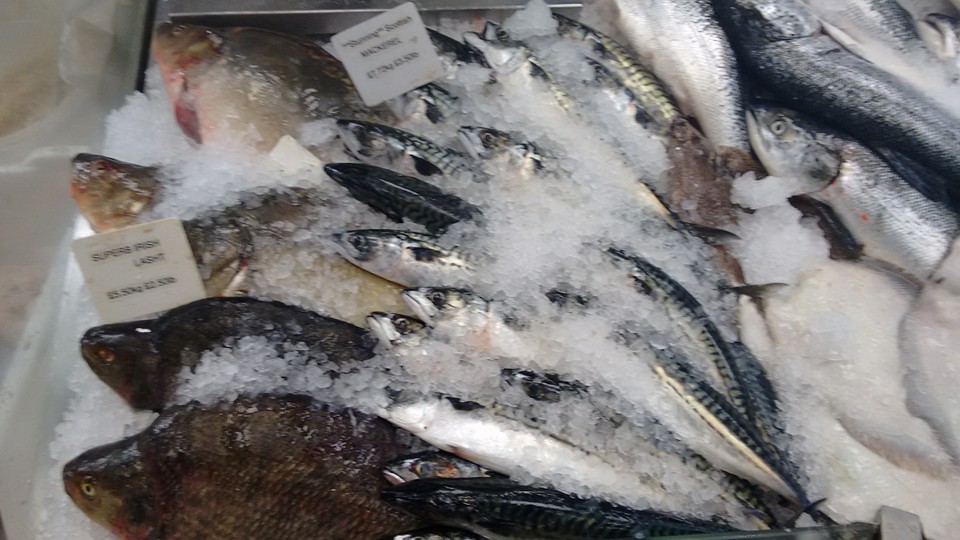 Home | samstollerandson