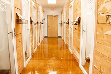 Dog Boarding | Bing's Boarding