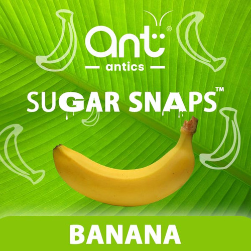 Sugar Snaps - Original Banana | Ant Antics