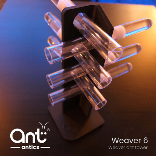 The Weaver Six - Weaver tower | Ant Antics