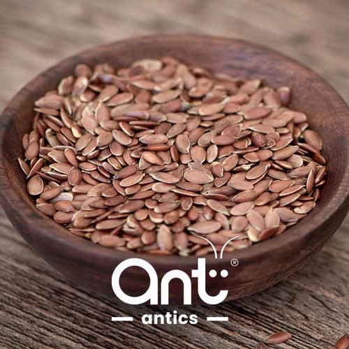Linseed Mix | Ant Antics