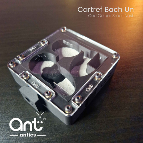 Cartref Bach un (3 Port 1 colour Small Nest) CORE | Ant Antics