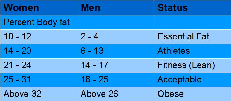 How To Measure Your Body Fat? Are You Healthy?