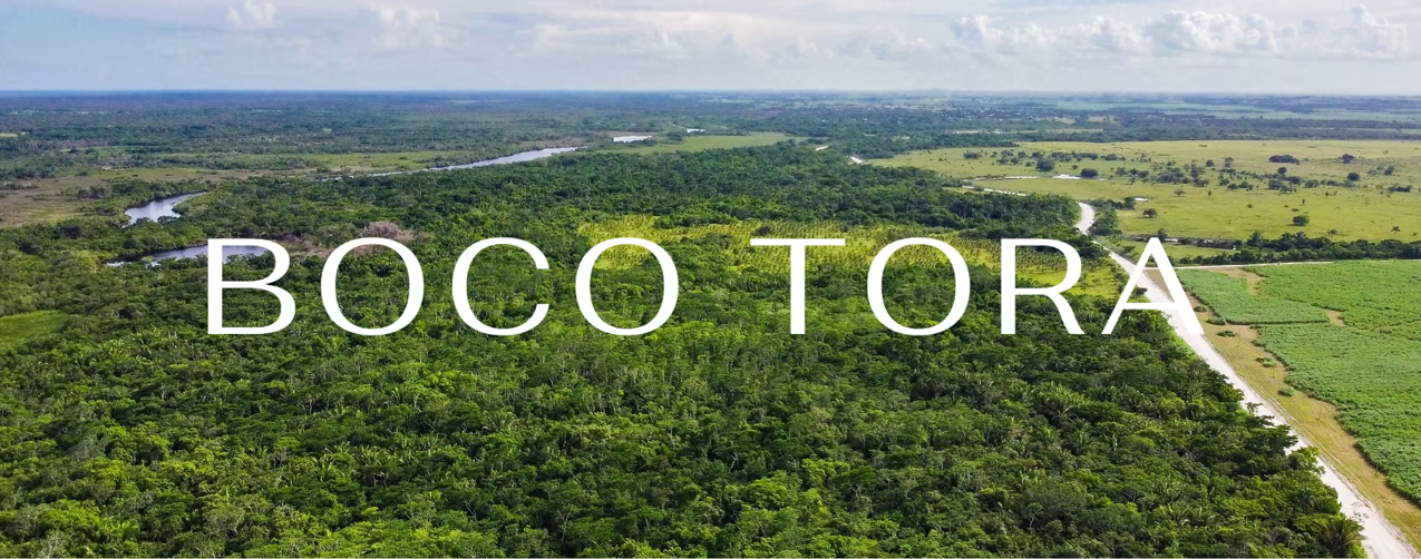 Bocotora: 562 Acres of Possibility In Belize