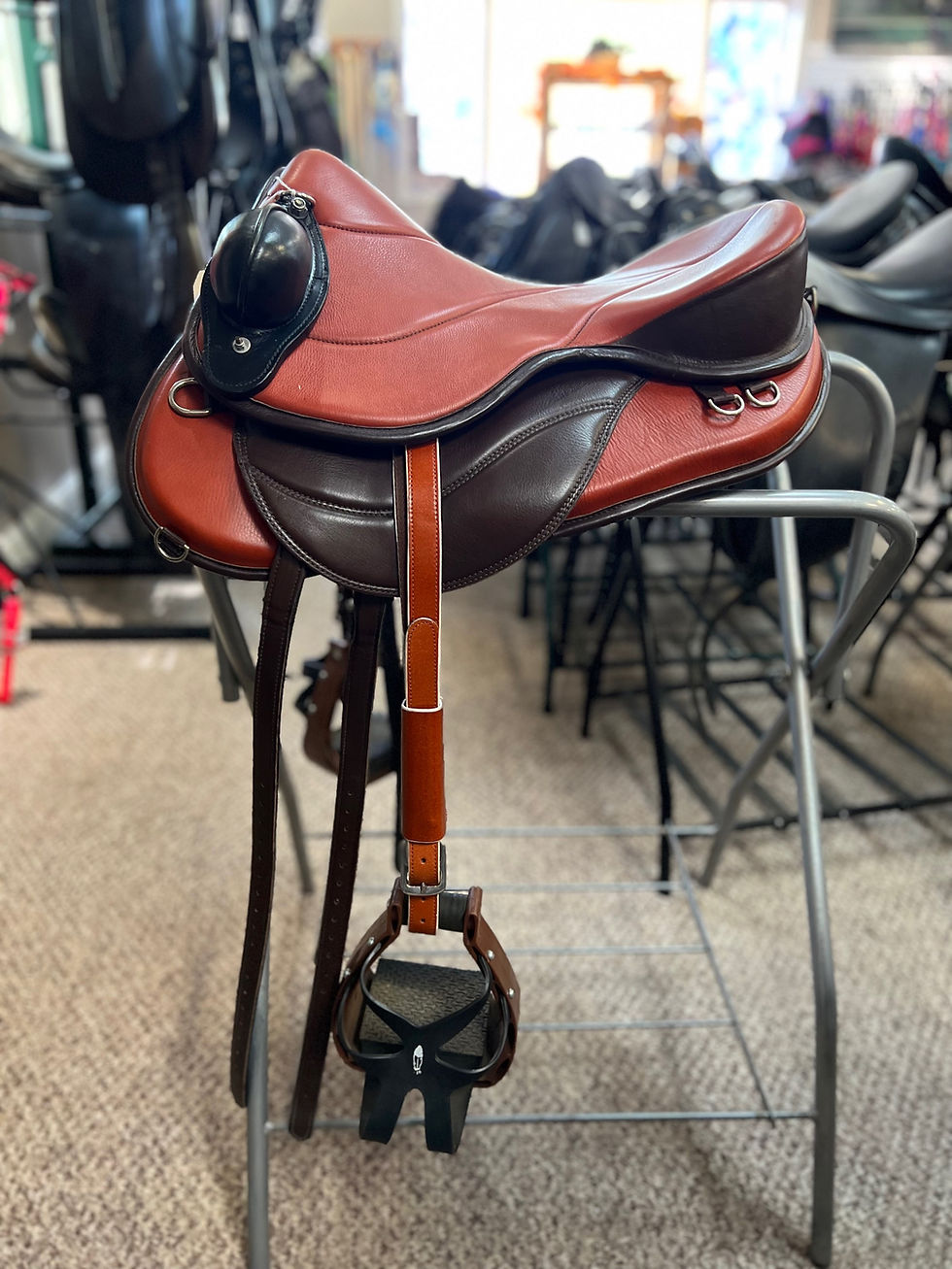 TREELESS SADDLES | gallopinggrapes