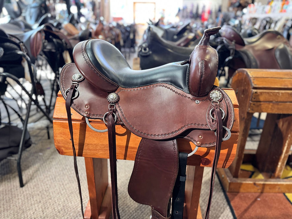 WESTERN SADDLES | gallopinggrapes