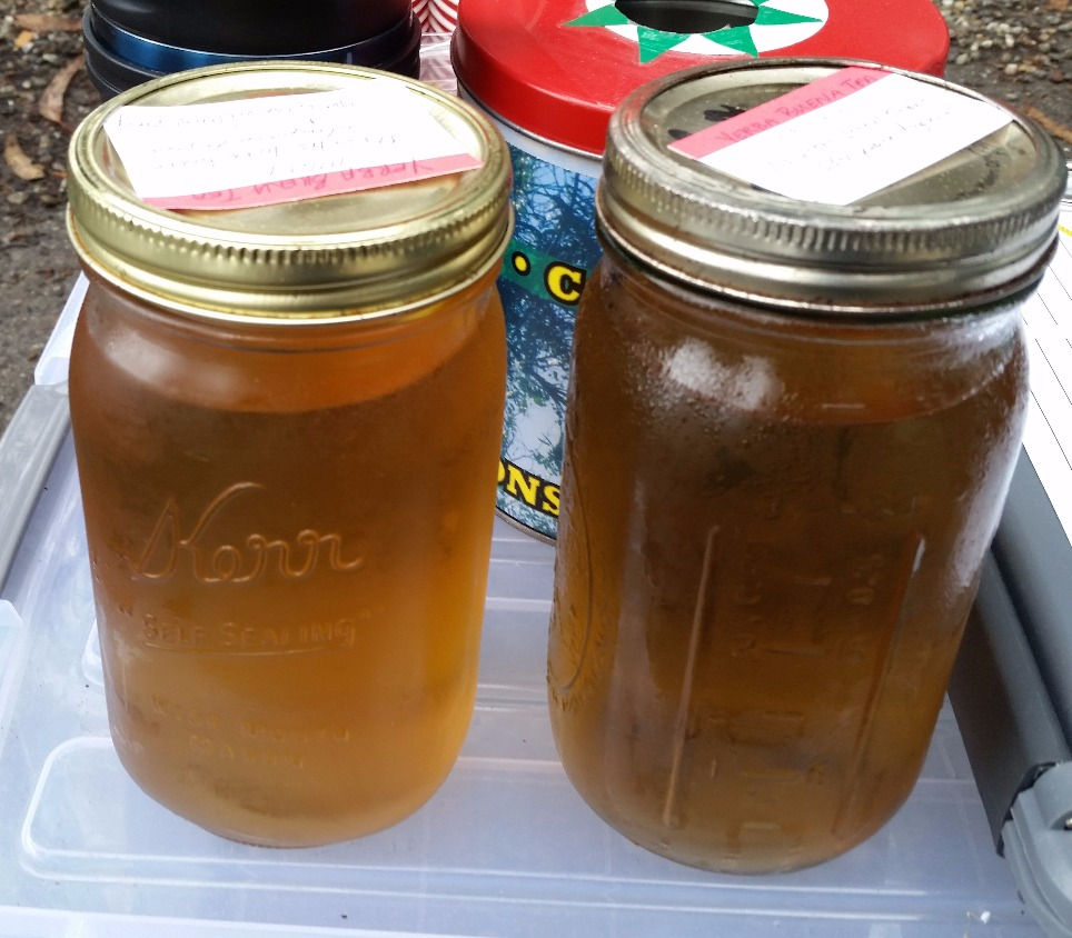 Yerba Buena: A Refreshing Native Steeped in History