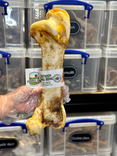 Ostrich dino bone | BullyBrothers Bakery