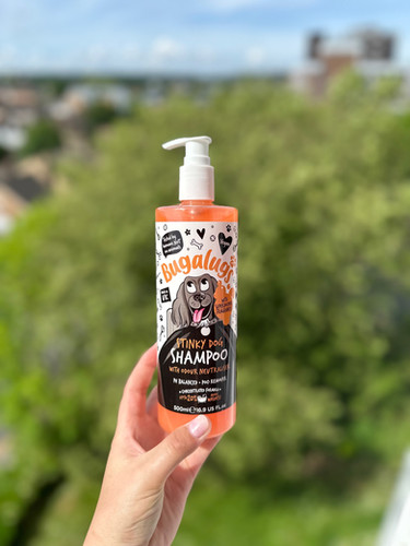 Stinky dog shampoo | BullyBrothers Bakery