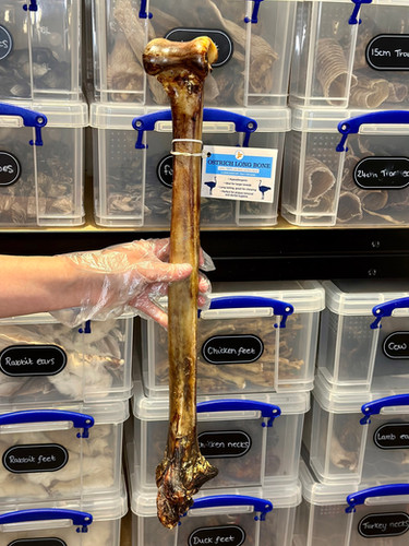 Ostrich Long Bone | BullyBrothers Bakery