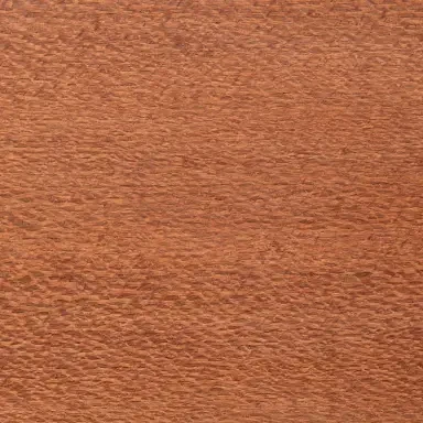 Lacewood (Leopard wood) | Magical Alley