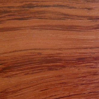 Bubinga | Magical Alley