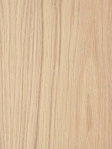 White Oak | Magical Alley