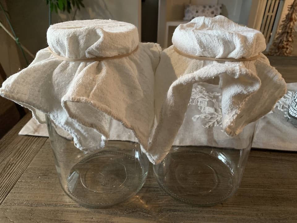 The Best Kombucha Jars for Home-Brewing