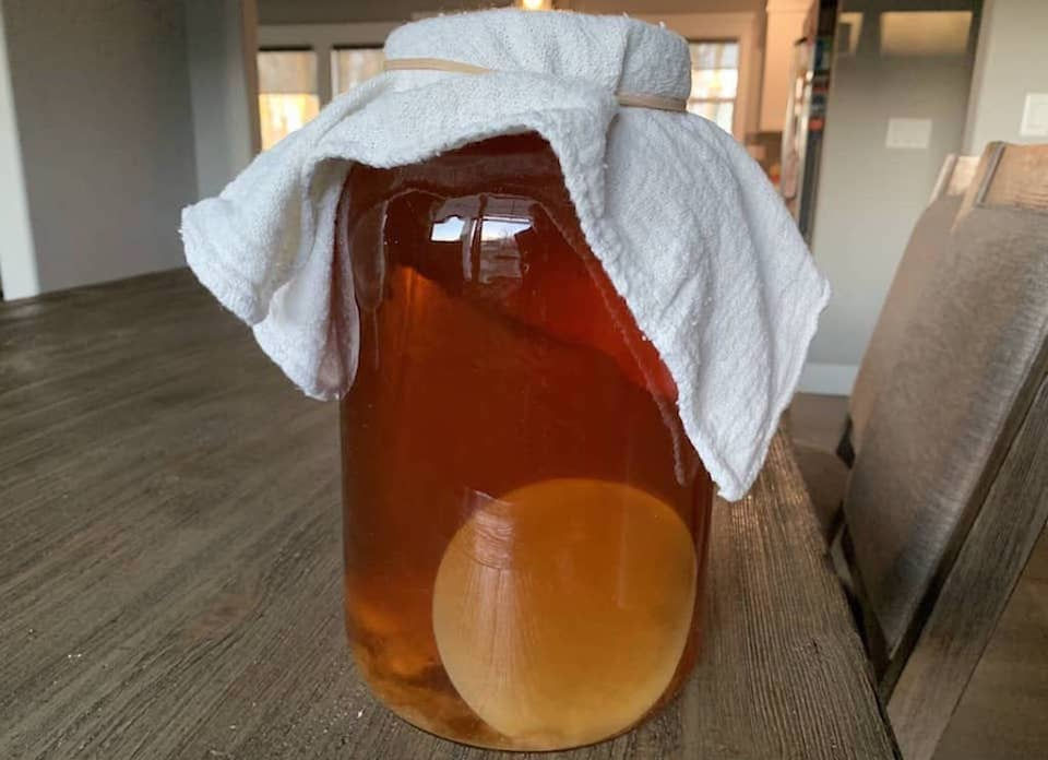What is a SCOBY? The Ultimate Guide to Kombucha SCOBYs