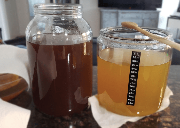 The Ultimate Green Tea Kombucha Guide and Recipe