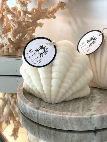 FLUTED CLAM SHELL | Mythandwild.com