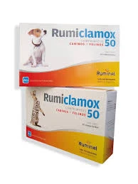 Leocan Veterinaria 24 hs