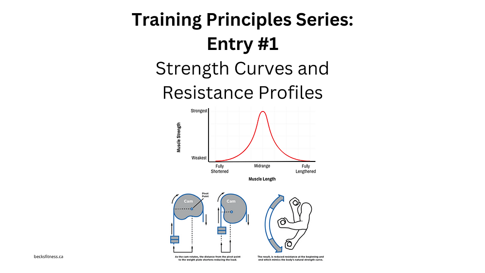 Training Principles Series: Strength Curves and Resistance Profiles