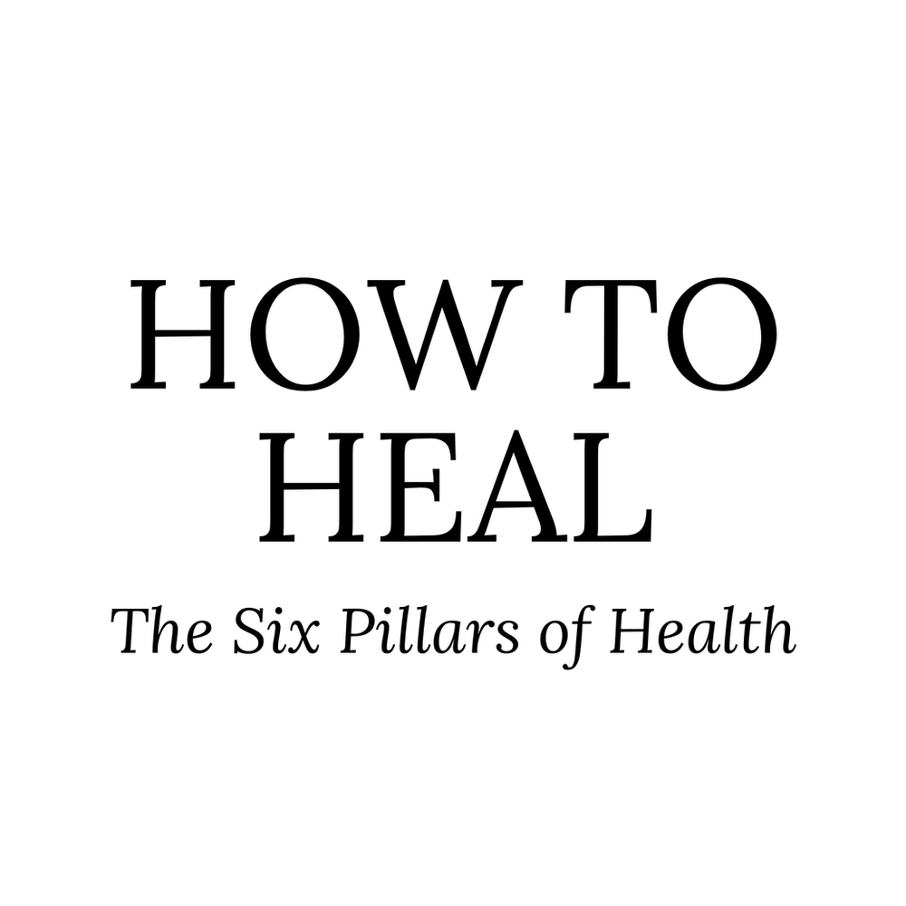 Mind Body Reconnection: The 6 Pillars of Health