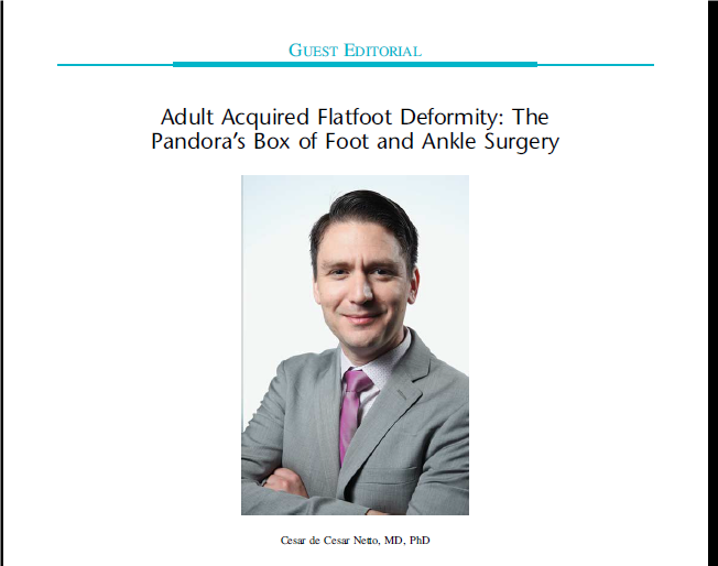 Dr Cesar de Cesar Netto Guest Editor of a Special Issue of the ...