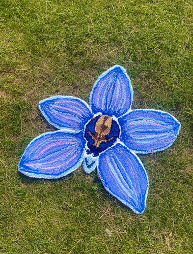 Periwinkle Orchid | mysite