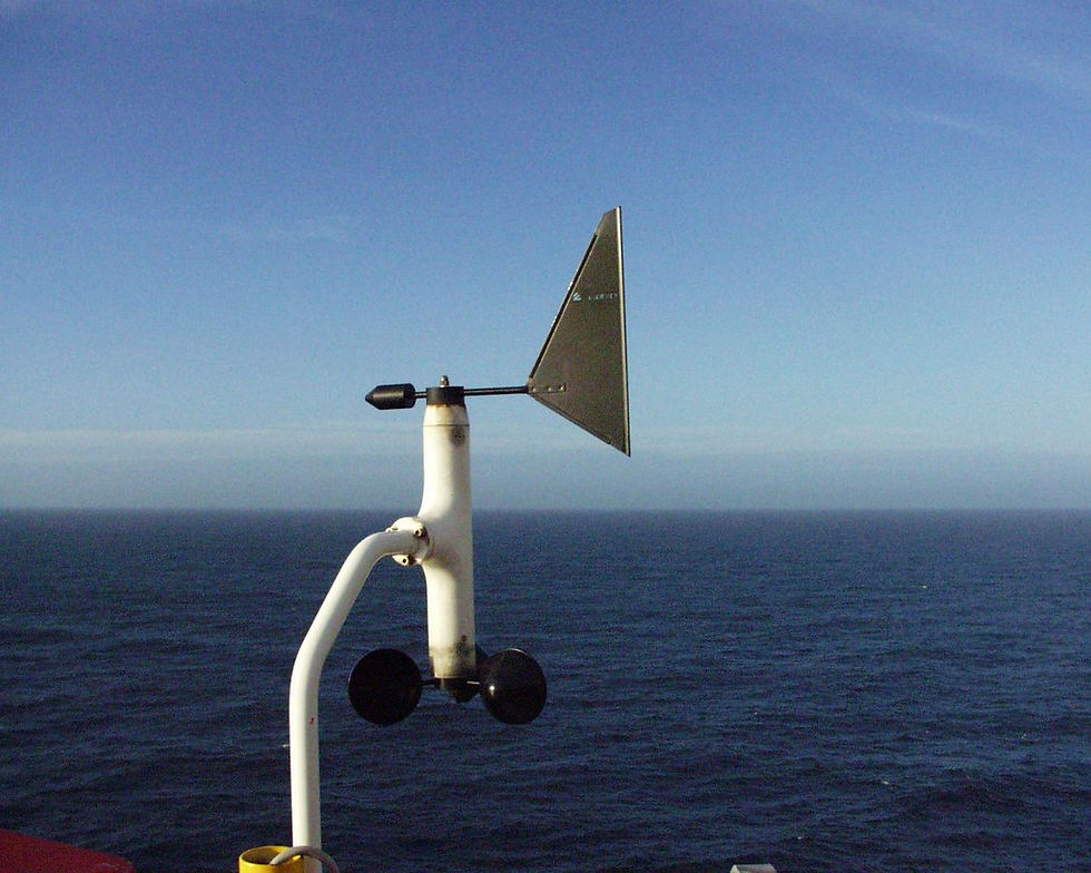 WIND VANE/ANEMOMETER