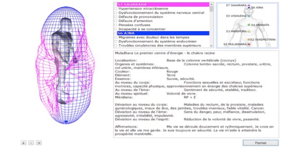 Physioscan | Physioquanta BILAN ENERGETIQUE