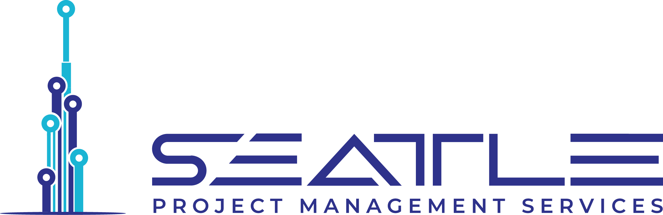 It Project Management Services