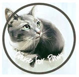 Cause For Paws MN | Cat Adoption | Minnesota