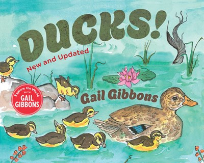 Ducks! (New & Updated) | The Thinking Spot