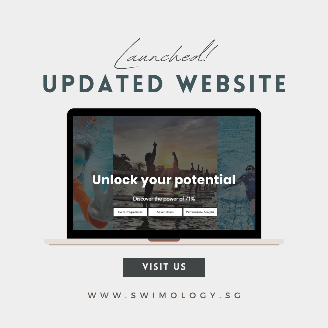 A Fresh Look Our New Website Interface