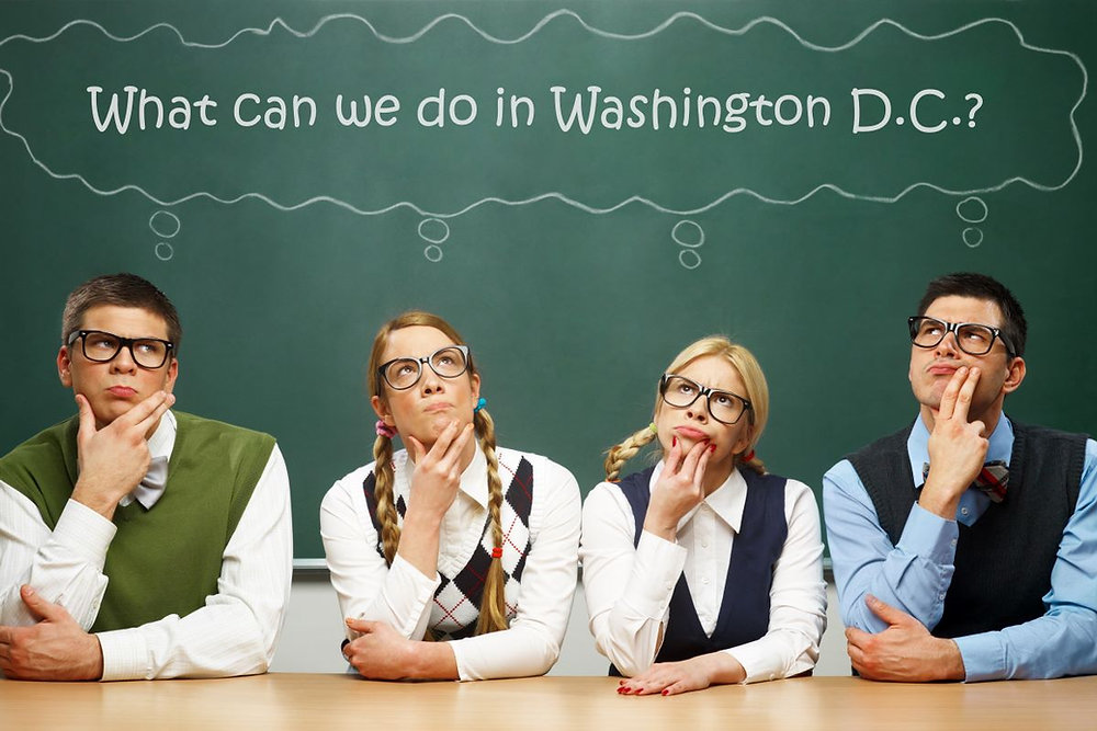 Geek Out in the Capital: 11 Nerdy Things to Do in Washington DC